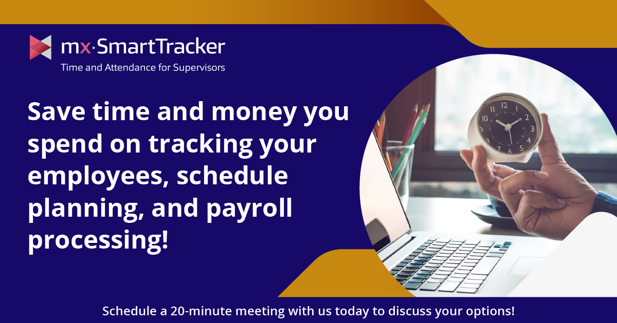 Live demo MX-Solution